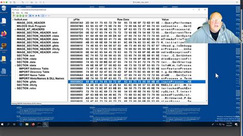 Pma 123 Importing Dlls Demonstration Youtube