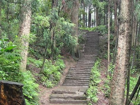 Hill Temples Mount Emei
