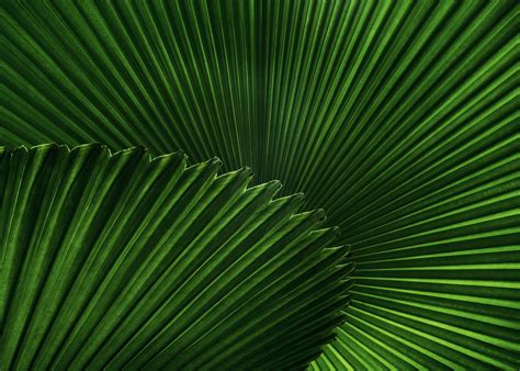 How To Set Up A Nodejs Project With Typescript Appsignal Blog