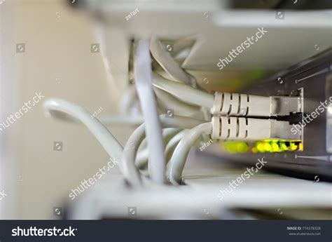 Network Switch Ethernet Cablesdata Center Concept Stock Photo 774378328 Shutterstock