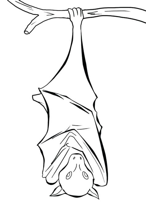 Fruit Bat Coloring Page At Free Printable Colorings