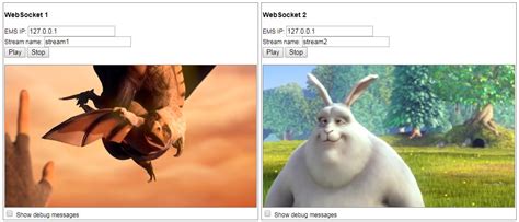 Streaming Using Websockets Evostream
