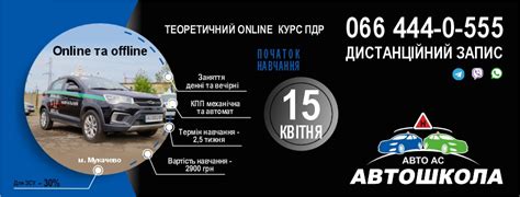 Ветеринарна клініка 4 лапи У чому небезпека переїдання та як