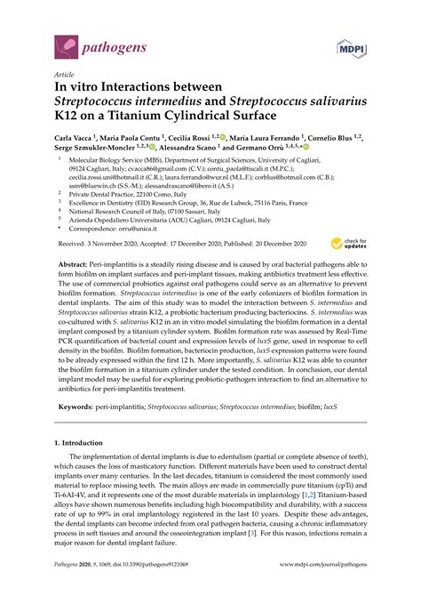 In Vitro Interactions Between Streptococcus Intermedius And Streptococcus Salivarius K12 On A