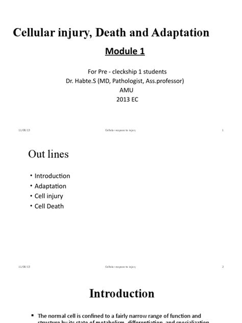 Cellular Responses To Stress And Noxious Stimuli Pdf Apoptosis