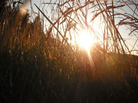 Performance Test Rotate Images In C Bitmaprotateflip Vsgraphics Object De