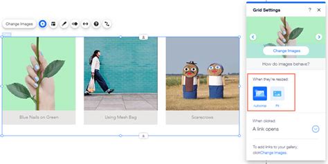 Wix Editor Adjusting Your Gallery Settings Help Center Wix Com