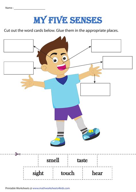 My Five Senses Cut And Paste Worksheet Zone
