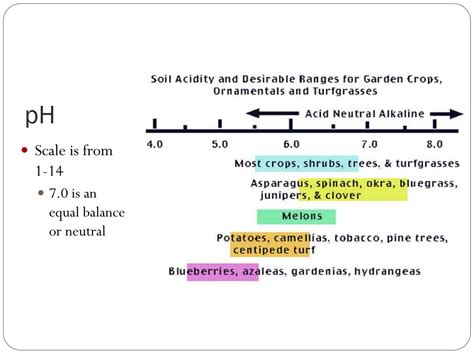 PPT Acidity Alkalinity PowerPoint Presentation Free Download ID