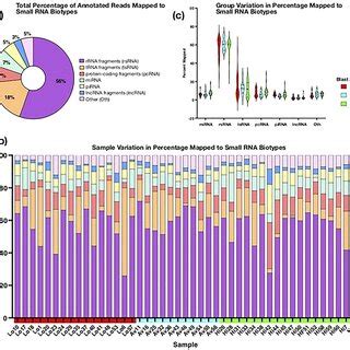 Categories Of Small RNAs Identified A Small RNA Biotypes As A Download Scientific Diagram