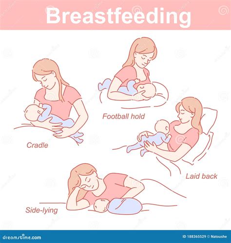 Breastfeeding Techniques Step By Step