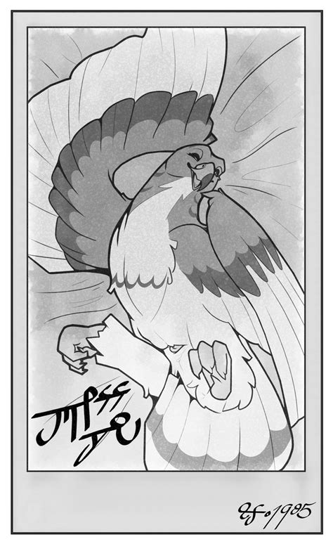 Rule 34 2023 Accipitrid Accipitriform Animal Genitalia Avian Bed Bird