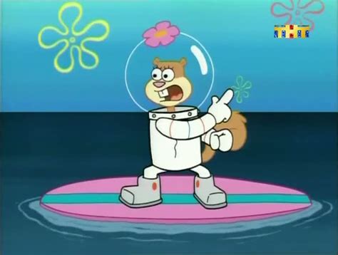 Сэнди Чикс из мультсериала Губка Боб Квадратные Штаны 50 картинок классные