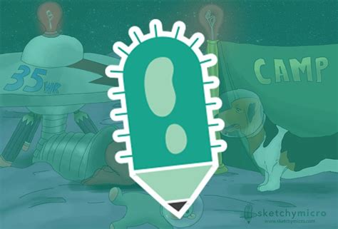 Streptococcus Agalactiae Group B Strep Osmosis