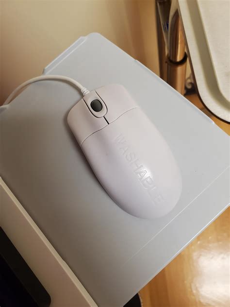 The Last Womp Rat Wont Load When Doing The Womp Ratatouille Mission