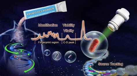 发明基于拉曼组原理的益生菌单细胞质检技术 青岛生物能源与过程研究所单细胞研究中心