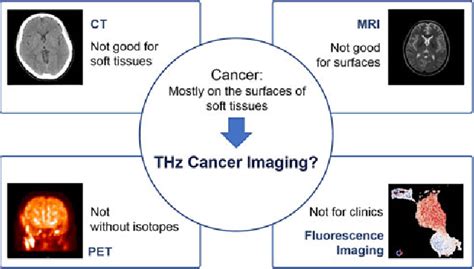 Figure 2 From Toward Clinical Cancer Imaging Using Terahertz Spectroscopy Semantic Scholar