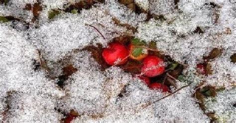 大雪節氣來臨！4生肖小心 專家揭吃1顏色食物可補運 Peekme
