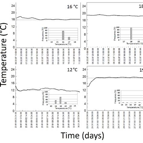 1 Temperature Time Series Recorded During The Experiments Experiment