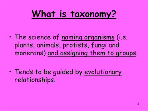 Taxonomy Definition Examples Classification Biology