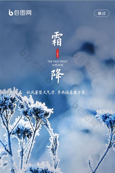 清新简约24节气霜降APP启动页UI设计 包图网