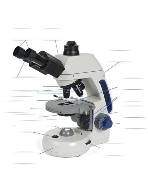 Microscope Diagram Quizlet