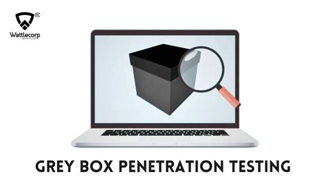 Penetration Testing Methodologies Guide Wattlecorp Cybersecurity Labs