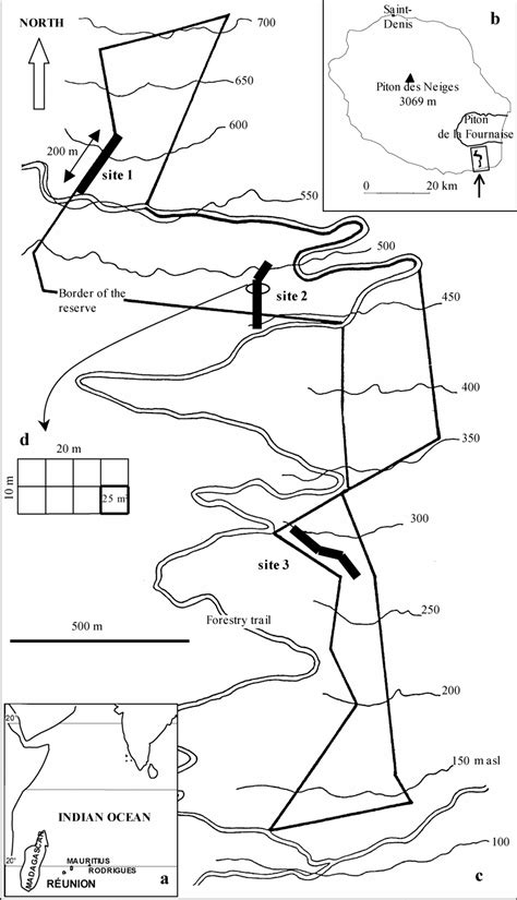 Effects Of Canopy Gap Size On Recruitment And Invasion Of The Non Indigenous Rubus Alceifolius