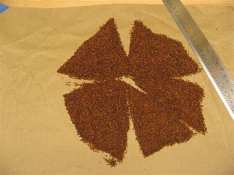 Shellac Is For Wimps Seedlac Is Punk Rock Giant Cypress