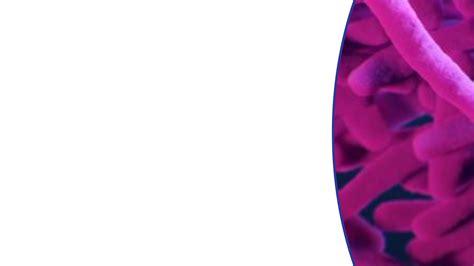 4 Consortium For Applied Microbial Metrics