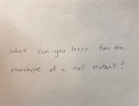 Solved What Can You Learn From The Phenotype Of A Null