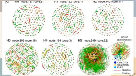 宏基因组测序与数据分析全流程解析
