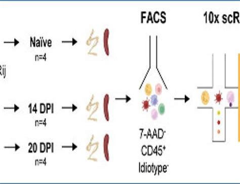 Circrnadb A Comprehensive Database For Human Circular Rnas With
