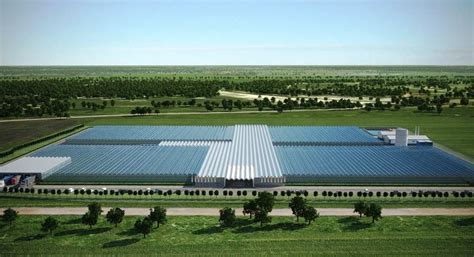 КУПИТЬ ПРОДАТЬ ТЕПЛИЦЫ ТЕПЛИЧНЫЕ КОМПЛЕКСЫ КУПИТЬ ПРОДАТЬ ТЕПЛИЧНЫЕ ХОЗЯЙСТВА ТЕПЛИЧНЫЕ