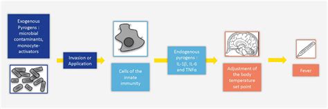 Towards The End Of Rabbit Pyrogen Tests Fc3r