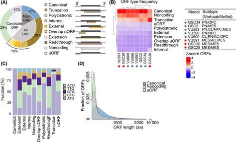 Ribosome Profiling Reveals Non Protein Coding Biotypes Being Translated Download Scientific