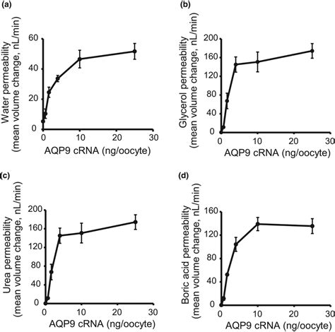Effects Of The Amount Of Aqp9 Crna Injected Into Oocytes On Water A Download Scientific