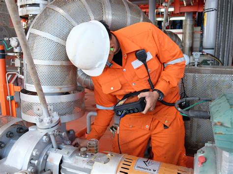 On Site Vibrational Analysis