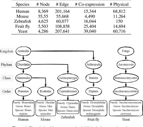 Figure 4 From Graph Domain Adaptation Via Theory Grounded Spectral Regularization Semantic Scholar