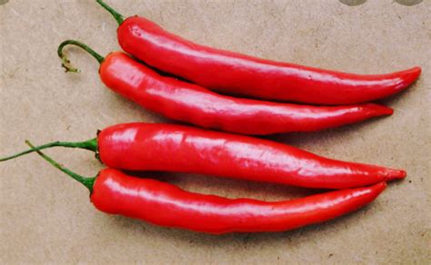 Pretinha Nua Servi Os Packs Fotos V Deos E Perfis