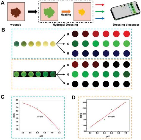 Real‐time Ph Monitoring By Smartphone A Reading And Monitoring The Ph Download Scientific