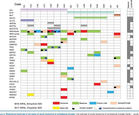 Acute Leukemia Of Ambiguous Lineage Semantic Scholar