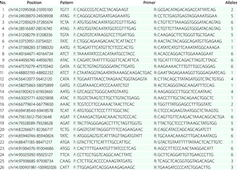 Position Repeat Pattern Primers And Alleles Of The Investigated 26