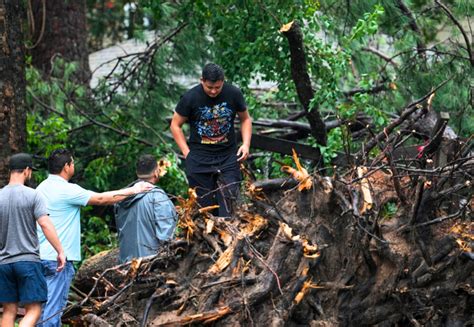 Huracán ‘beryl Deja Al Menos Siete Muertos En Estados Unidos