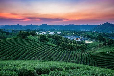 安吉旅游攻略推荐这8个宝藏景点不可错过解锁山野小城的风情 澎湃号湃客 澎湃新闻 The Paper