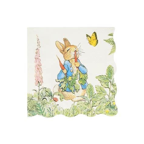 Peter Rabbit Party Decorations The Party Darling