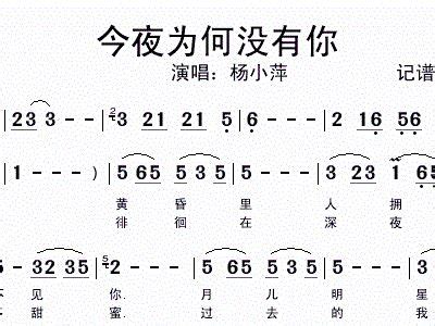 今夜为何没有你 杨小萍 歌谱 简谱