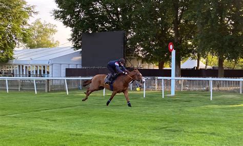 Carl Spackler In Great Shape With Ascot Approaching