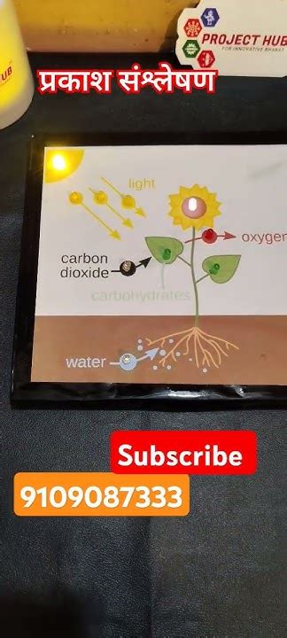 प्रकाश संश्लेषण Photosynthesis Biology Bioproject Biologypractical