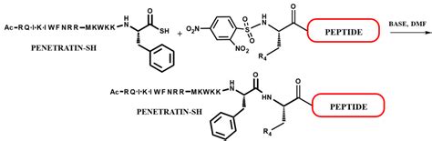 C Terminal Peptide Modifications Delivertides